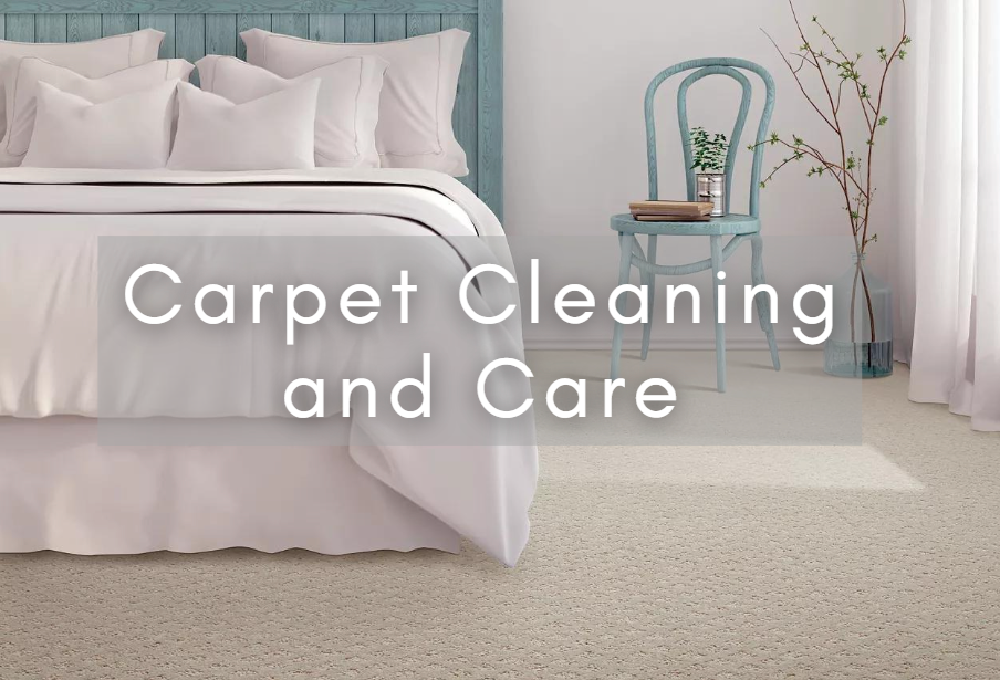 Carpet Flooring Cleaning & Care: Tips To Keep Carpets Fresh