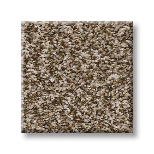 Shaw Carpet E9346 WORK THE COLOR - advancedflooring