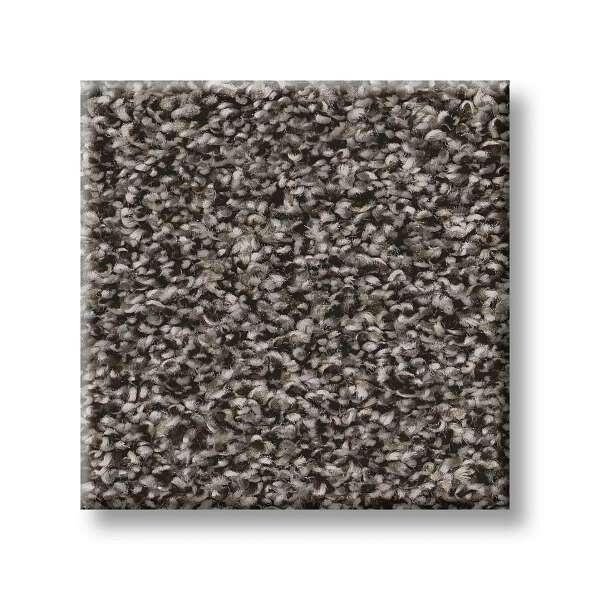 Shaw Carpet E9346 WORK THE COLOR